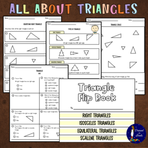 All About Triangles - Made By Teachers