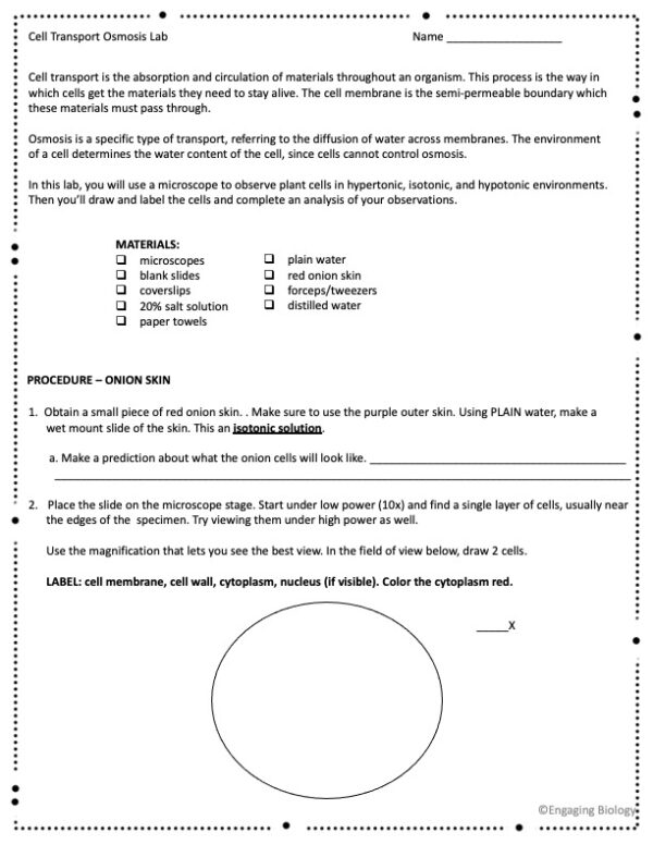 Cell Transport Osmosis Lab - Made By Teachers