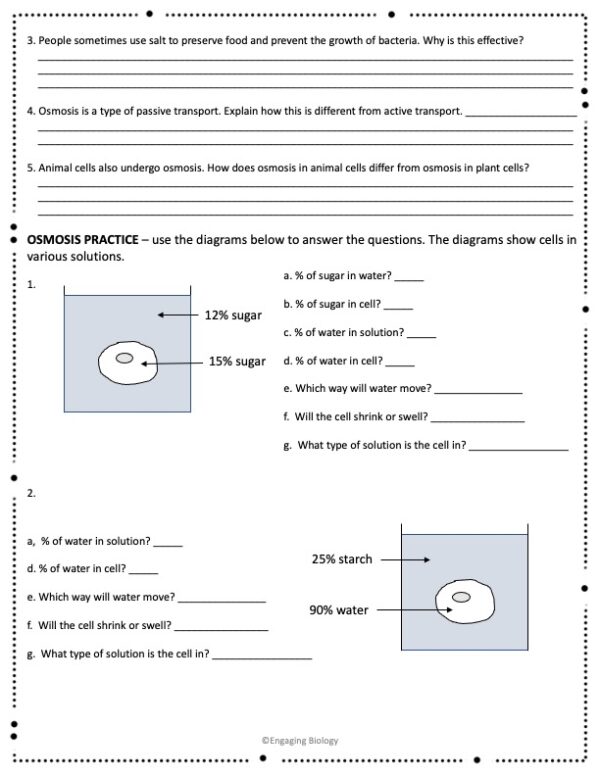 Cell Transport Osmosis Lab - Made By Teachers