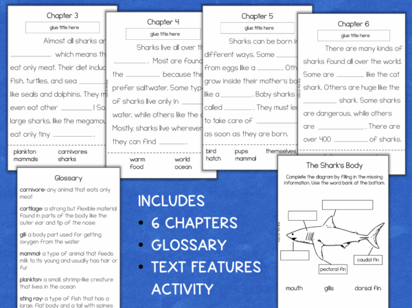 SHARKS Nonfiction Reading Comprehension Main Idea - Made By Teachers