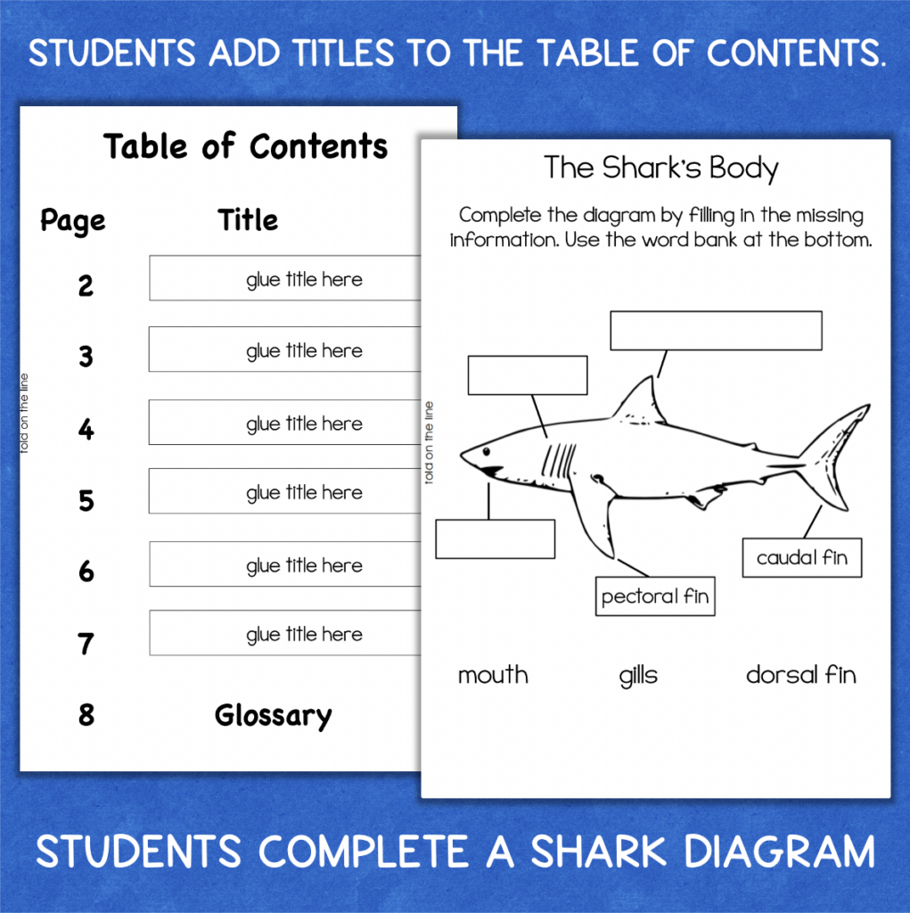 SHARKS Nonfiction Reading Comprehension Main Idea - Made By Teachers
