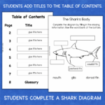 SHARKS Nonfiction Reading Comprehension Main Idea - Made By Teachers
