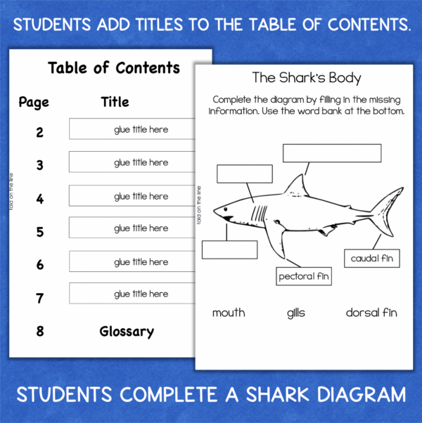 SHARKS Nonfiction Reading Comprehension Main Idea - Made By Teachers