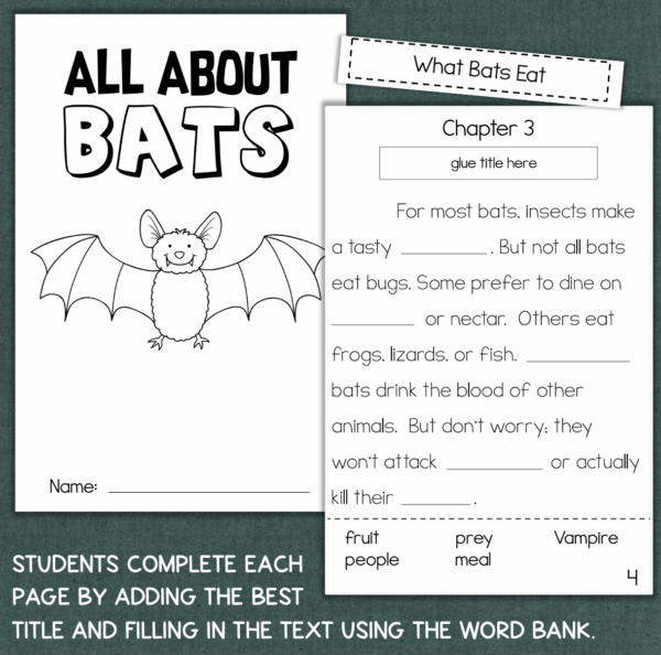 BATS Nonfiction Reading Comprehension Main Idea | Made By Teachers