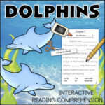 DOLPHINS Nonfiction Reading Comprehension - Made By Teachers