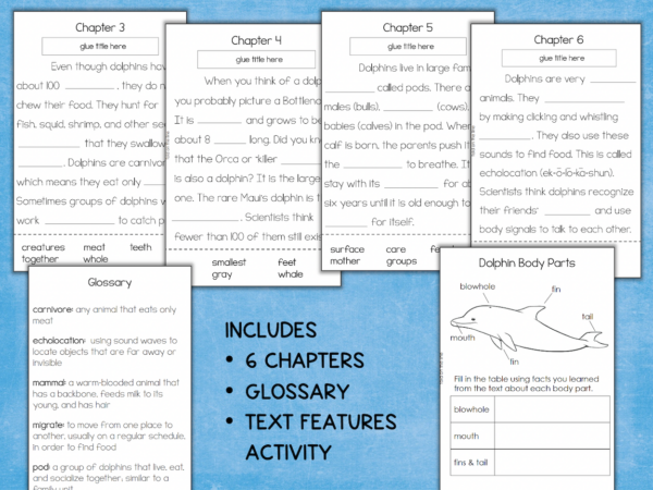 DOLPHINS Nonfiction Reading Comprehension - Made By Teachers