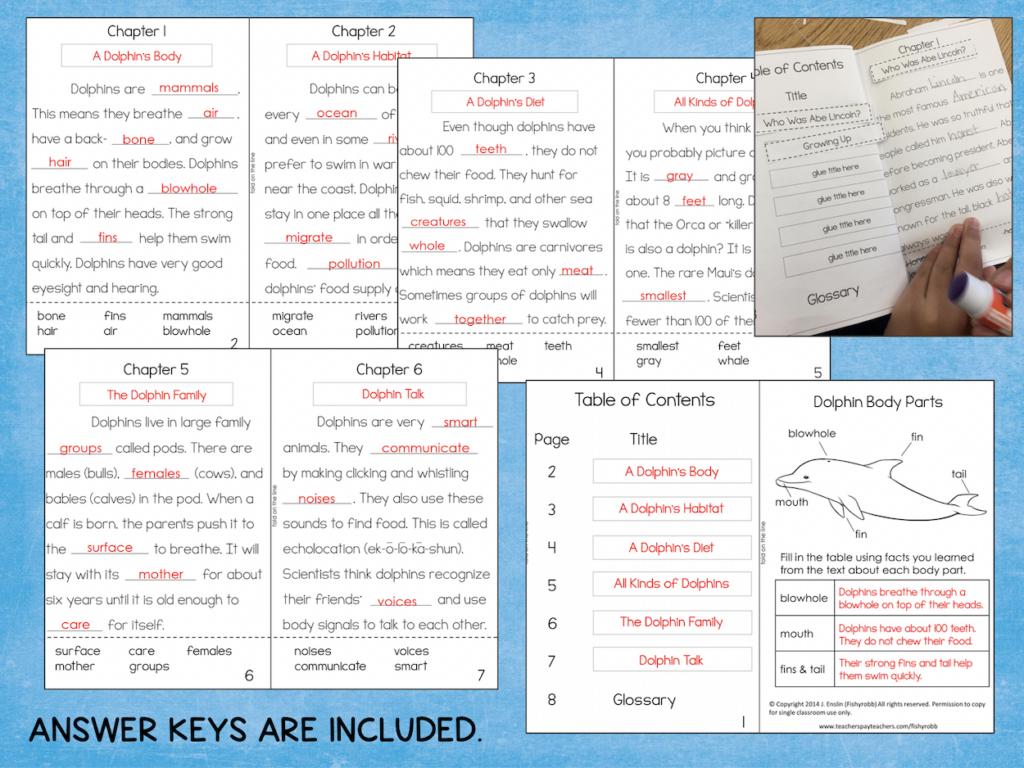 DOLPHINS Nonfiction Reading Comprehension - Made By Teachers