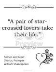 Romeo and Juliet Posters | Made By Teachers