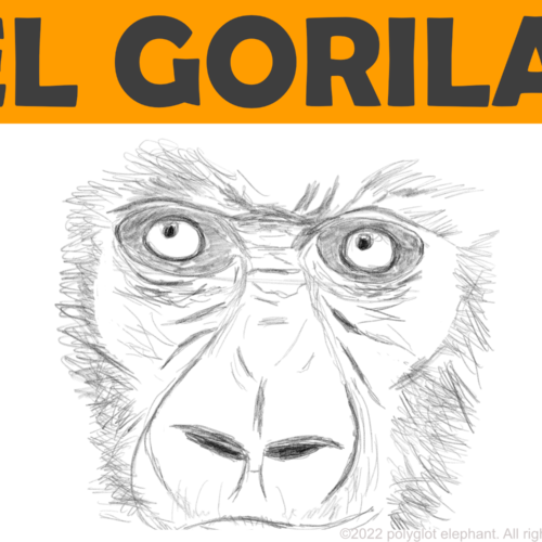 Animals vocabulary flashcards in spanish | Made By Teachers