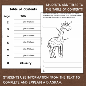 Giraffes Nonfiction Reading Comprehension - Made By Teachers