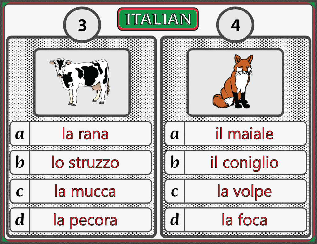 Italian Task Cards - Animals | Made By Teachers