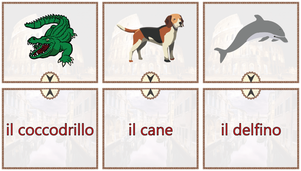 Italian Match & Task Cards - Animals - Made By Teachers