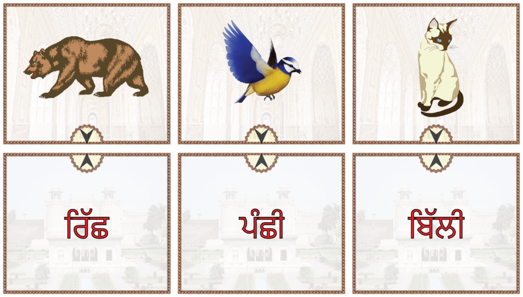 Punjabi Vocabulary Match Bundle | Made By Teachers