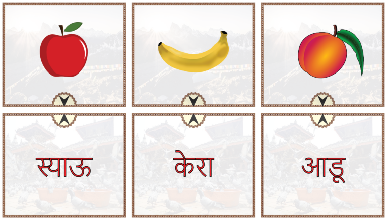 Nepali Match Vocabulary Bundle - Made By Teachers