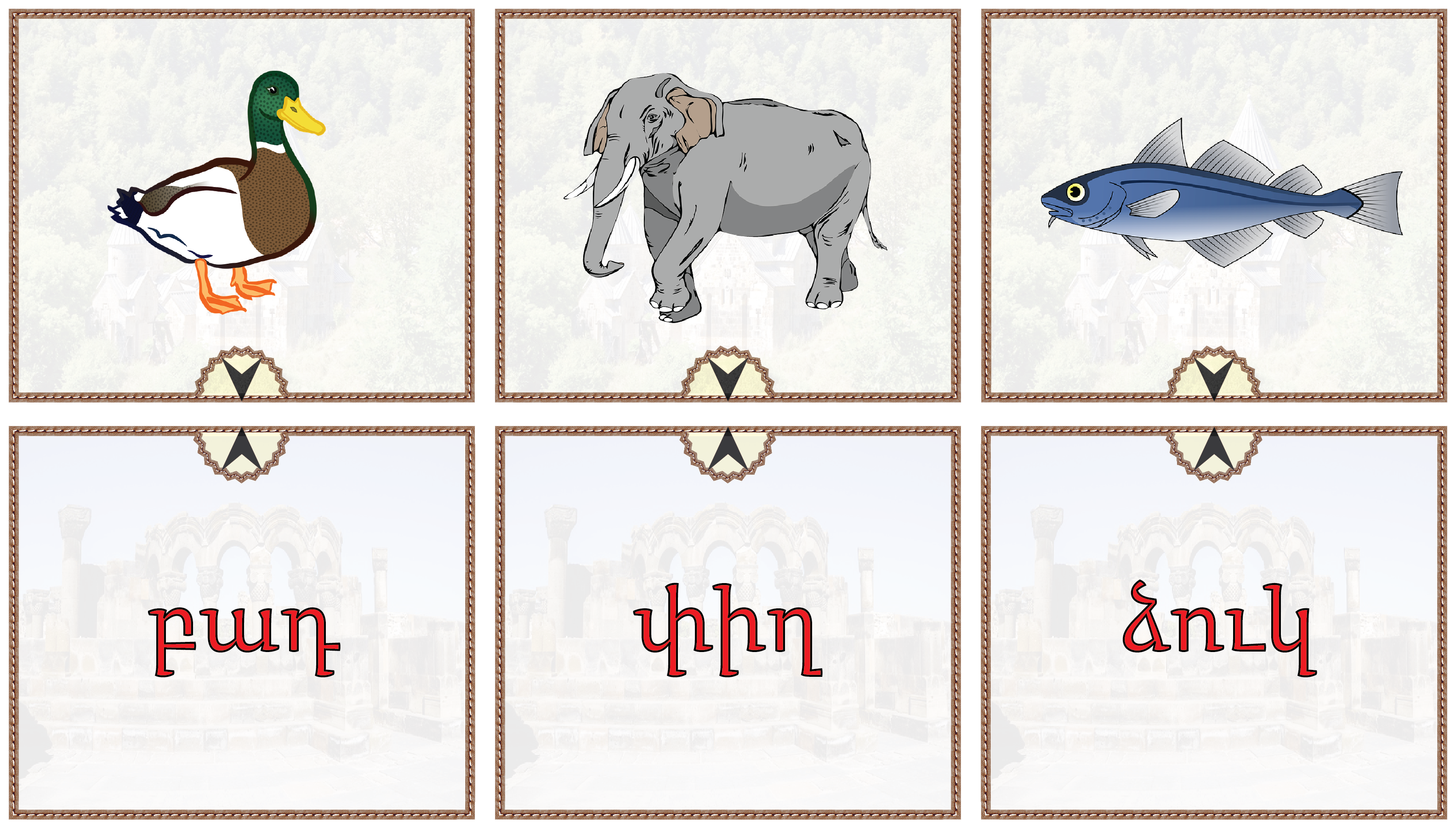 Armenian Match - Animals | Made By Teachers