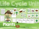 Life Cycle of a Plant Science Curriculum Unit. - Made By Teachers