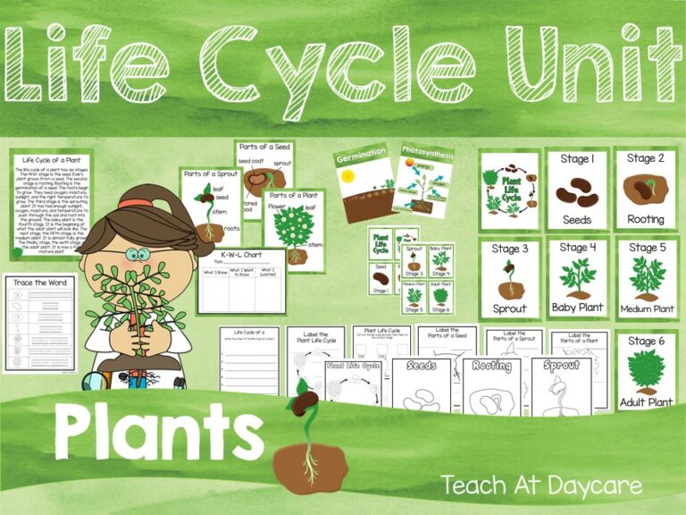 Life Cycle of a Plant Science Curriculum Unit. - Made By Teachers