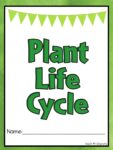 Life Cycle of a Plant Science Curriculum Unit. - Made By Teachers
