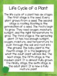 Life Cycle of a Plant Science Curriculum Unit. - Made By Teachers
