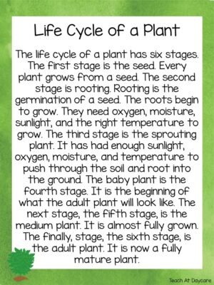 Life Cycle of a Plant Science Curriculum Unit. | Made By Teachers