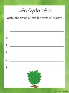 Life Cycle of a Plant Science Curriculum Unit. - Made By Teachers
