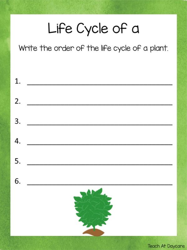 Life Cycle of a Plant Science Curriculum Unit. | Made By Teachers