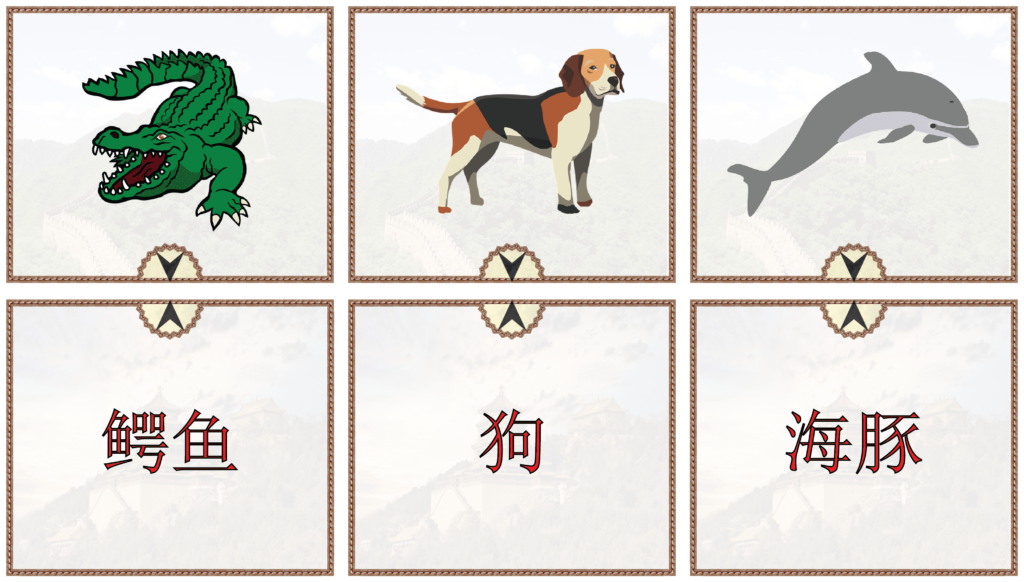 Mandarin Match & Task Cards - Animals | Made By Teachers