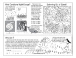Studying Earth's Climate: Printable Puzzle Set - Made By Teachers