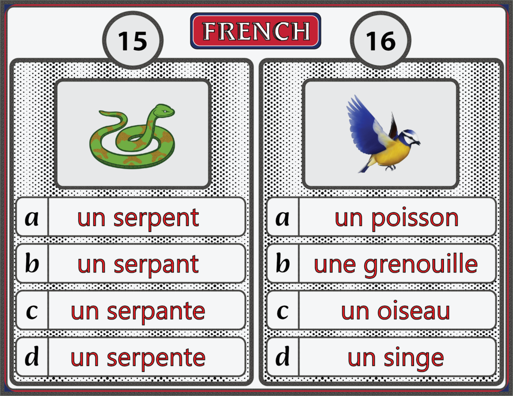 French Task Cards - Animals | Made By Teachers