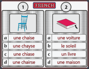 French Match & Task Cards - Everyday Objects | Made By Teachers