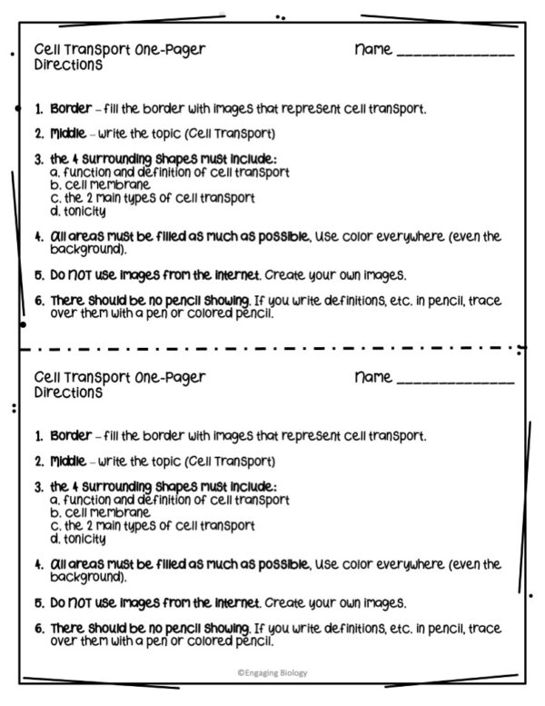 Cell Transport Graphic Organizers | Made By Teachers