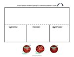 Cell Transport Graphic Organizers - Made By Teachers