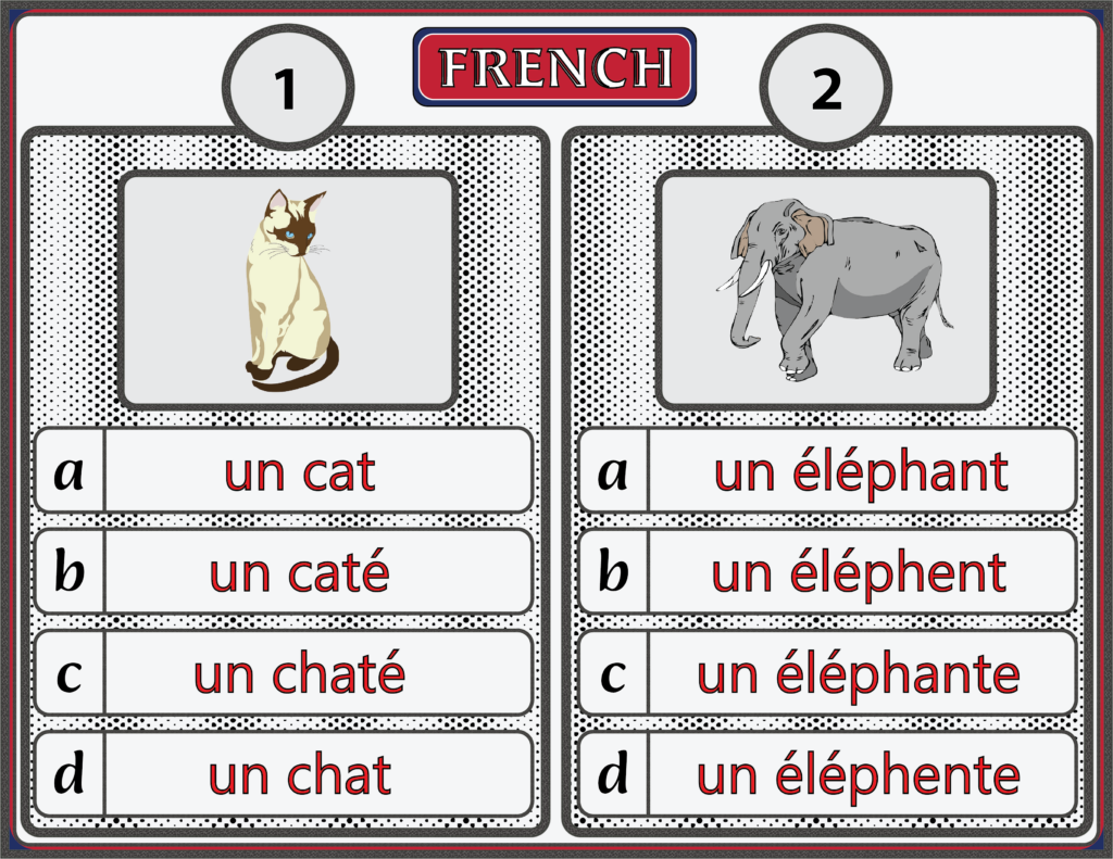 French Task Cards - Basic Vocabulary Bundle | Made By Teachers