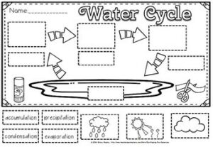 Water Cycle Cut and Paste Worksheets | Made By Teachers