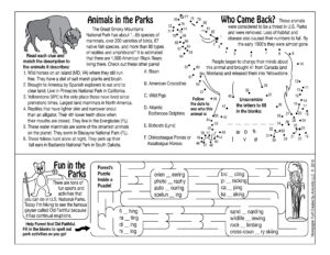 National Parks Printable Puzzle Activity Set - Made By Teachers