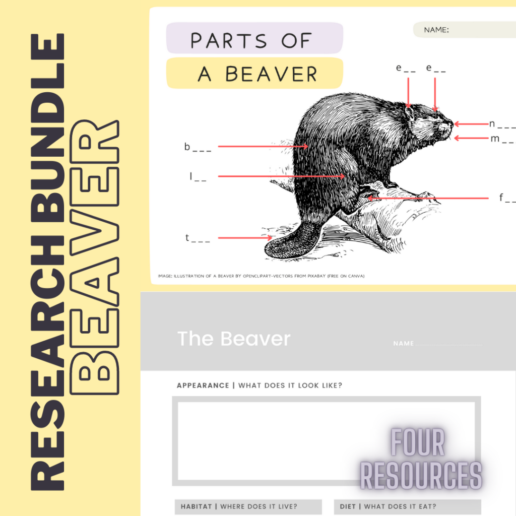 Animal Research Bundle - Beaver (4 Activities) | Made By Teachers