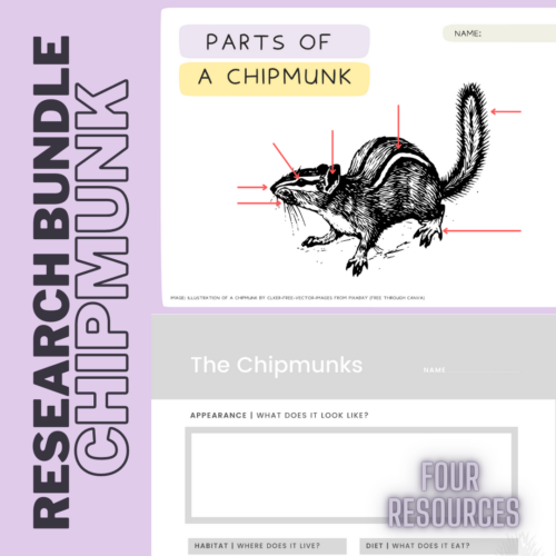 Animal Research Bundle - Chipmunk (Four Tasks) | Made By Teachers