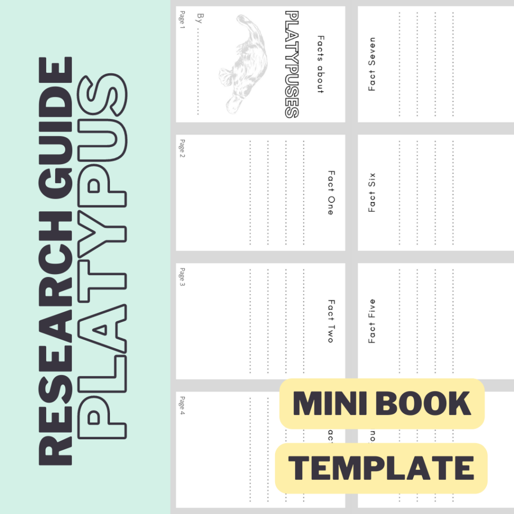 Animal Research Bundle - Platypus (4 Tasks) | Made By Teachers