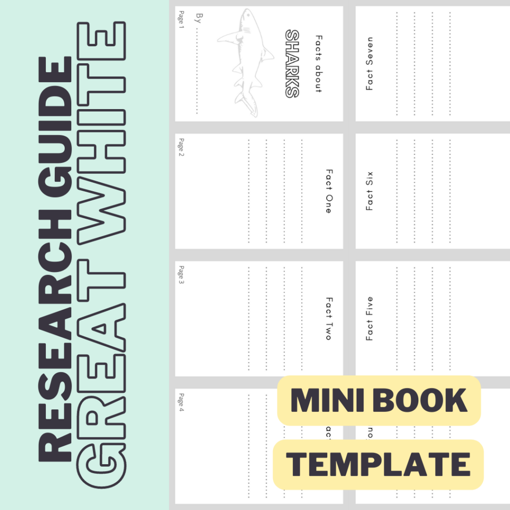 Animal Research Bundle - Great White Shark | Made By Teachers