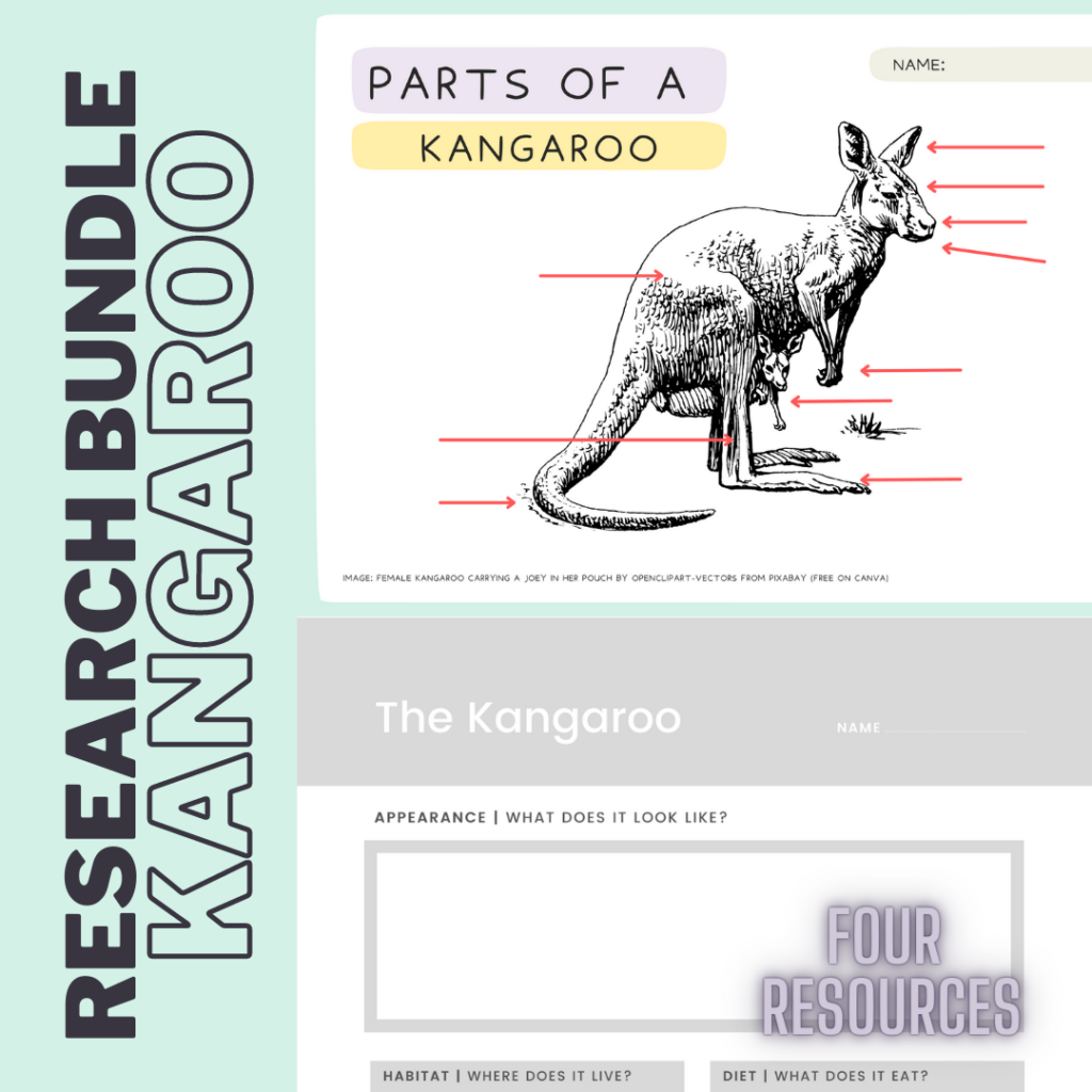Animal Research Bundle - Kangaroo (4 Tasks) | Made By Teachers