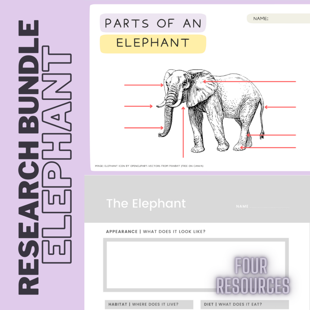 Animal Research Bundle - Elephant | Made By Teachers
