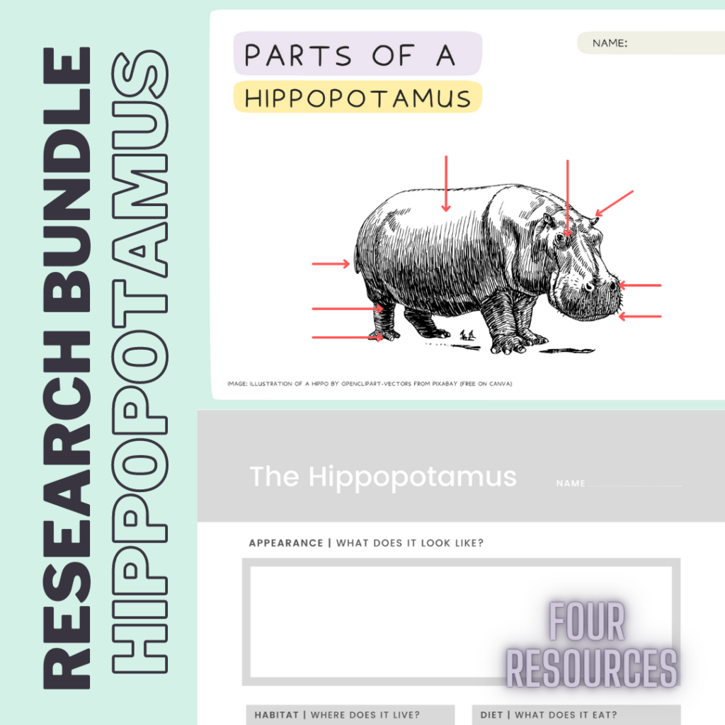 Animal Research Bundle - Hippo (4 Activities) | Made By Teachers