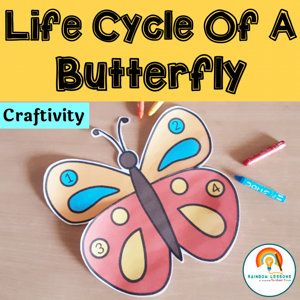 Butterfly Life Cycle Craft Butterfly Craft Life Cycle Of A butterfly-life-cycle-craft-butterfly-craft-life-cycle-of-a