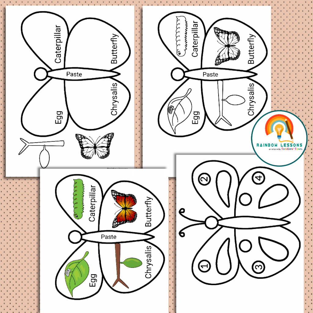 Butterfly Life Cycle Craft | Butterfly Craft | Life Cycle of a ...