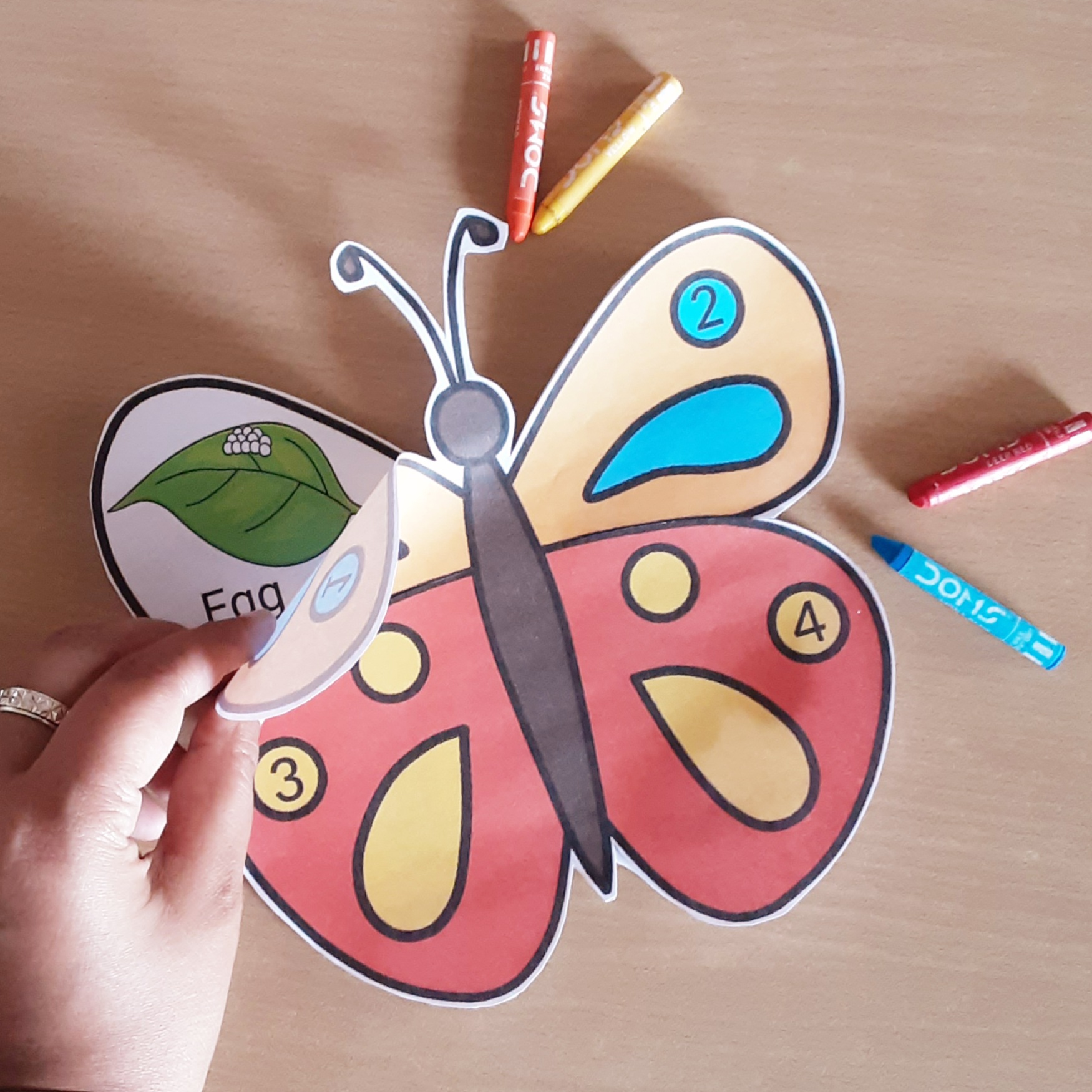 Butterfly Life Cycle Craft | Butterfly Craft | Life Cycle of a ...