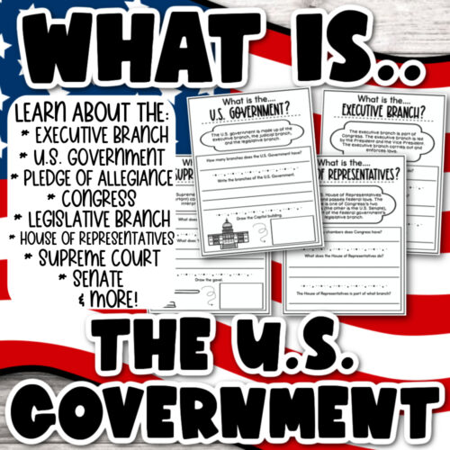 What is.. the U.S. Government? Worksheets - Reading Comprehension ...