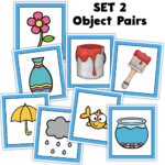 Partner Pairing Cards Things That Go Together - Made By Teachers