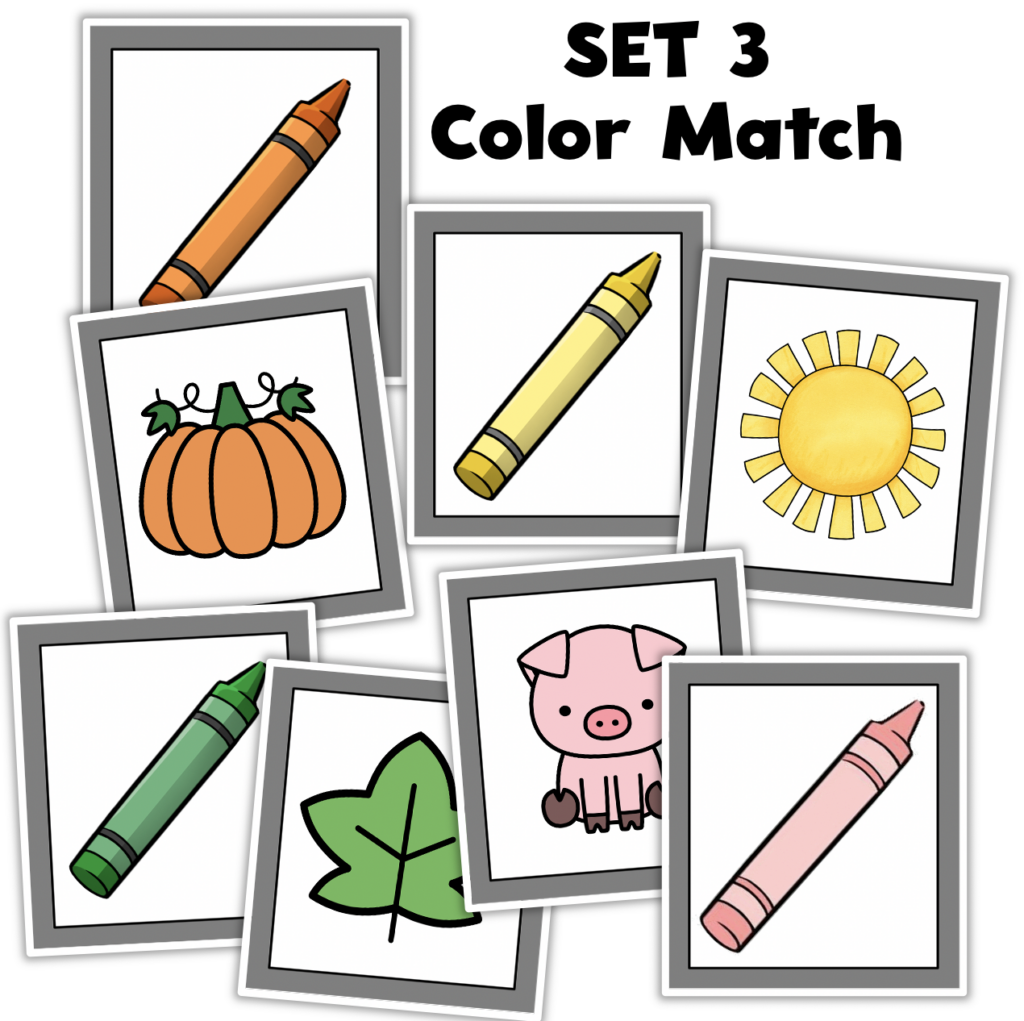 Partner Pairing Cards Things That Go Together | Made By Teachers