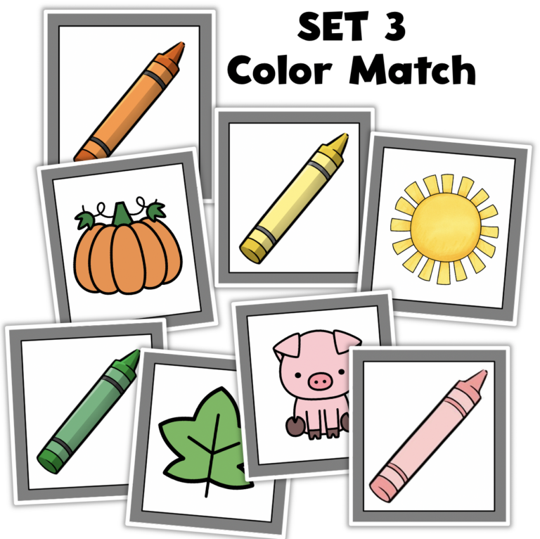 Partner Pairing Cards Things That Go Together | Made By Teachers