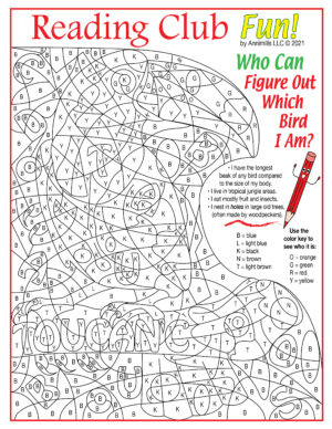 Bird Adaptations - Beaks, Feet, etc. Printable Puzzles - Made By Teachers